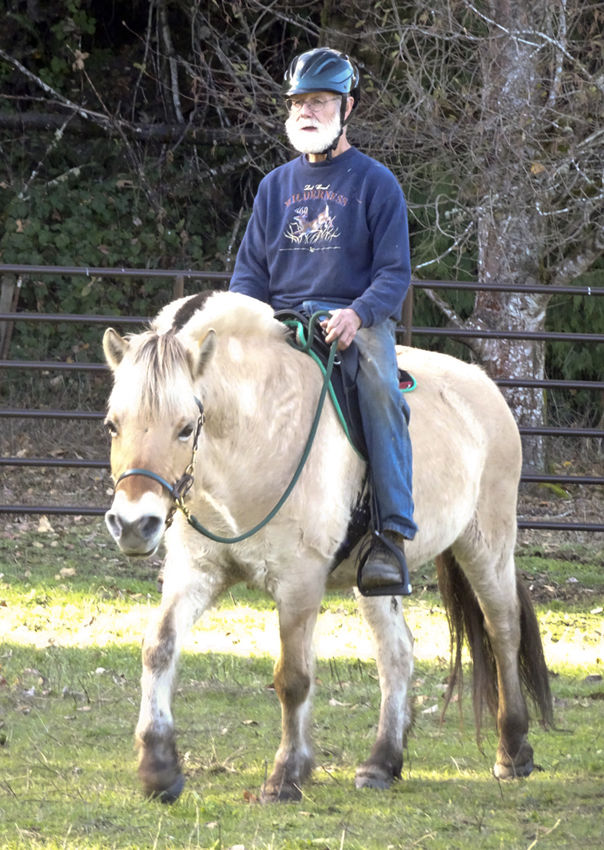 Norwegian Fjord Horses